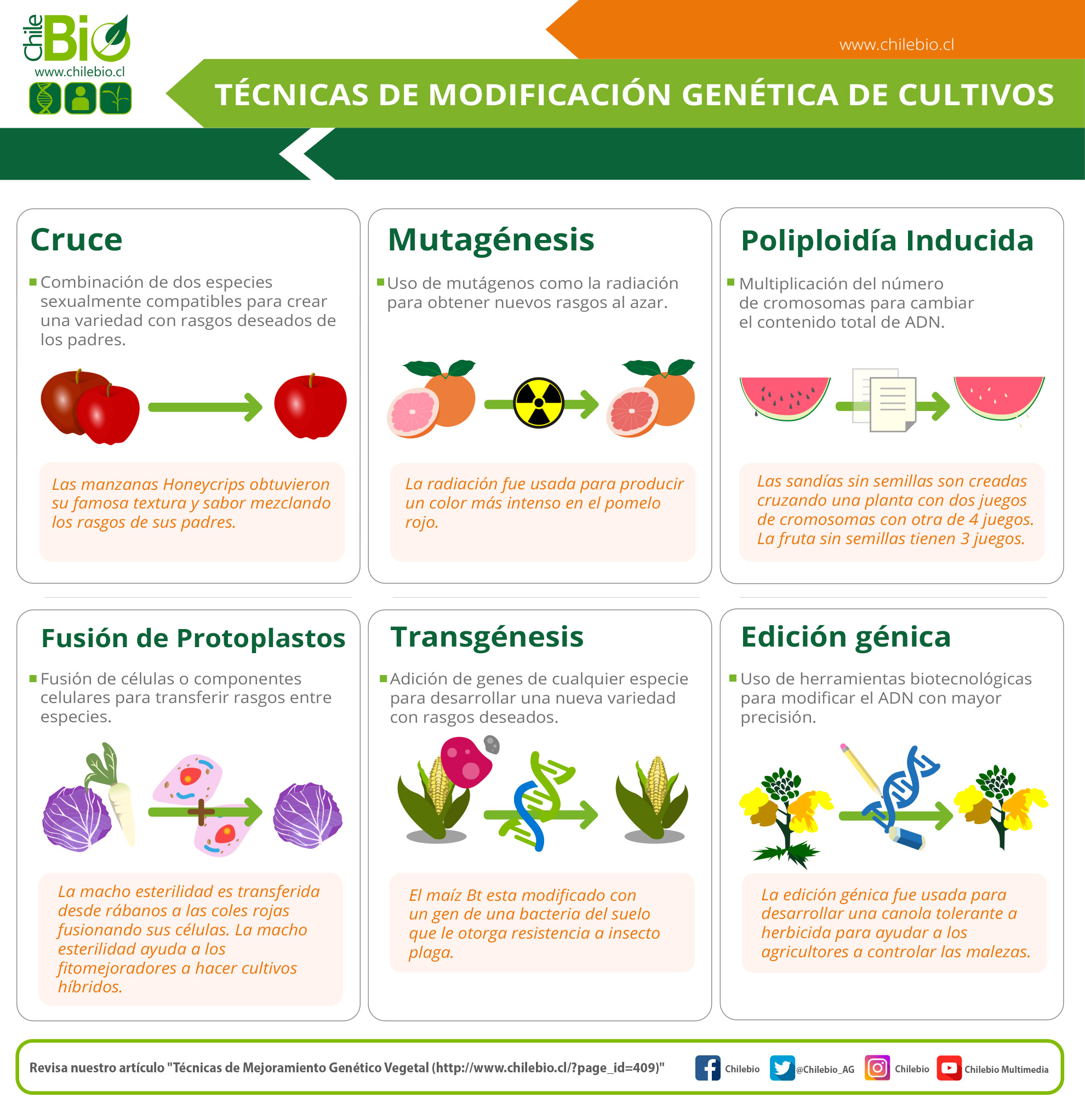 Infografías – ChileBIO